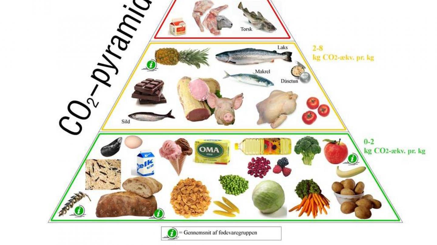 Klimarigtig mad | Det Danske Spejderkorps