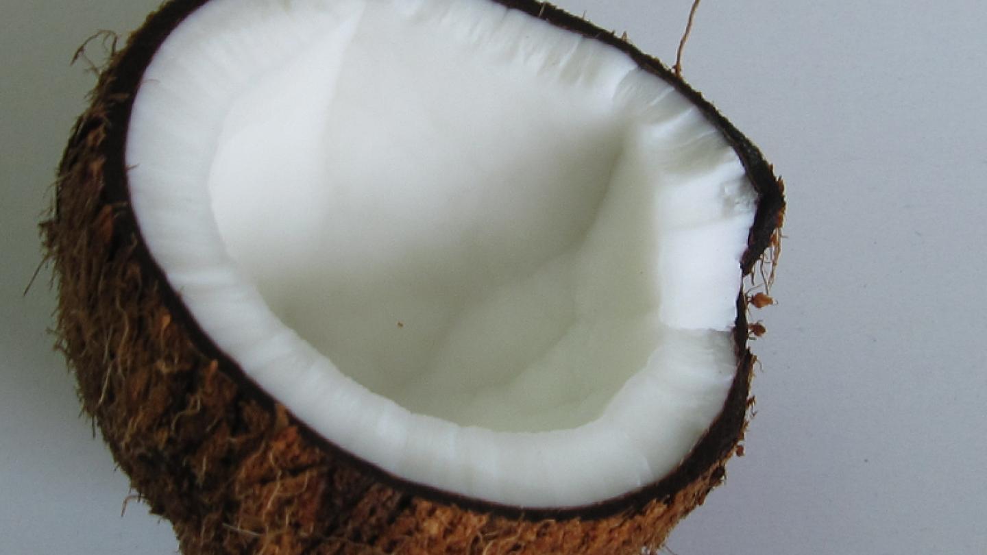 Kokoskop | Det Danske Spejderkorps